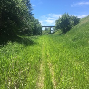 Palouse to Cascades Trail Virtual Tour – Tekoa – Cascade Rail Foundation